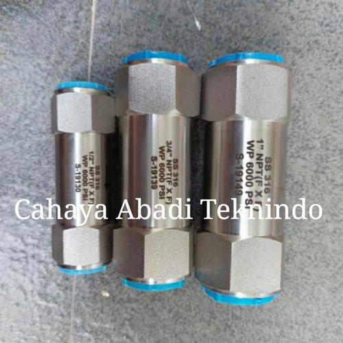 Jual Check valve 6000psi SS316 Npt 1/2"inch / Check class 6000 psi ...