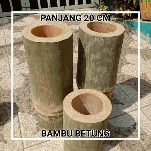 Jual bambu betung besar diamter 10cmx20cm - 10x20cm - Jakarta Timur ...