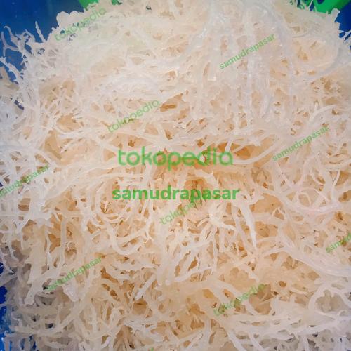Jual rumput laut segar - Jakarta Barat - samudrapasar | Tokopedia