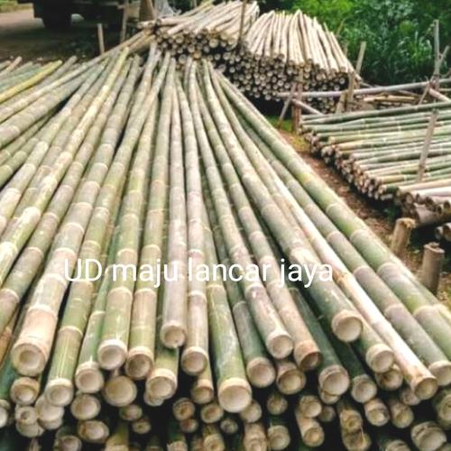 Jual bambu proyek, bambu steger, bambu cerucuk ukuran 8-9 - Jakarta ...