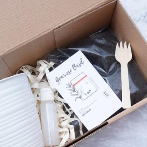 Jual Mini Matahari Flower Paket Bunga Tanaman Sunflower Kit Growing ...