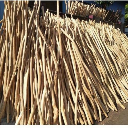 Jual ranting kayu jati 100 cm - Jakarta Selatan - Kebun herbal alami-1 ...