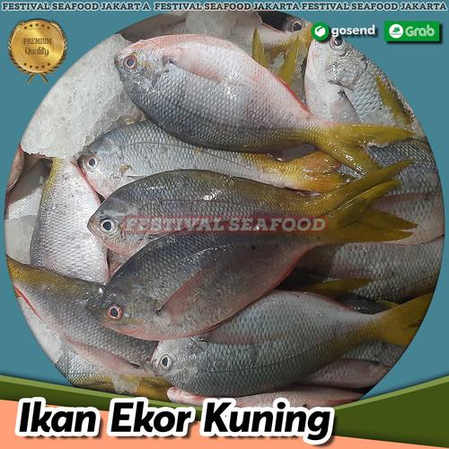 Jual IKAN EKOR KUNING 500gram/ IKAN LAUT SEGAR / FRESH FISH / FRESH ...