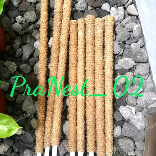 Jual Turus Tanaman Rambat | Turus Ulir Serabut kelapa 80 cm, 50 cm 30 ...