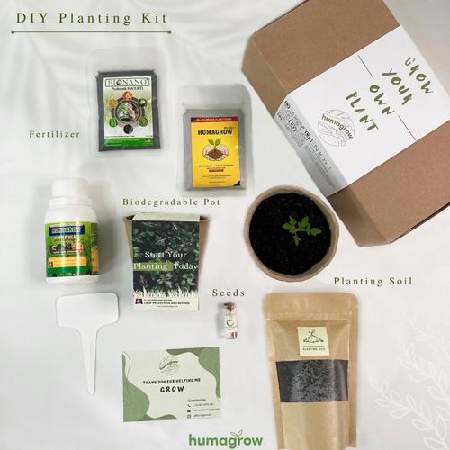 Jual Planting Kit | DIY PLANTER KIT | Paket Menanam Tanaman - Tomat ...