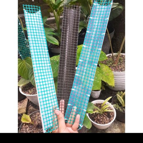 Jual turus mika /turus fiber / turus lumut / moss pole 50cm - Putih ...