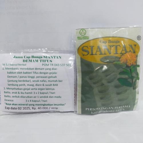 Jual SIANTAN Kapsul TYPHUS Obat Demam Tifus 12 kapsul Original ...