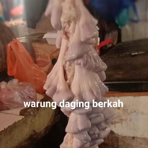 Jual iso sapi usus - Jakarta Selatan - warung daging berkah | Tokopedia