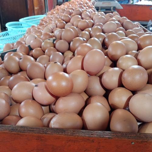 Jual telur negri / papan 30 butir ukuran sedang - Kota Bekasi - tunggal ...