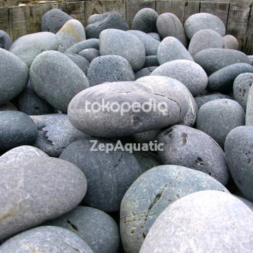 Jual BATU KALI HITAM 1Pcs UKURAN -+10cm DEKORASI AQUASCAPE,HIASAN TAMAN ...
