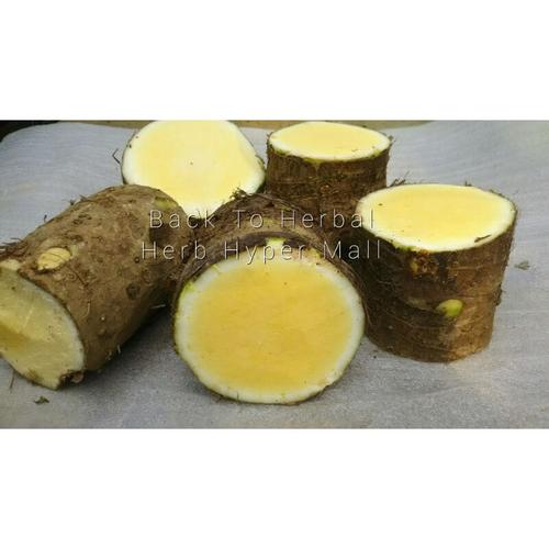 Jual TALAS BENENG UMBI TALAS BENENG ASLI SUPER JUMBO 1kg - Kota Bogor ...