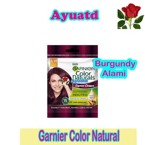 Jual Garnier Color Naturals / Cat Rambut Sachet 20ml + 20 g - Merah ...