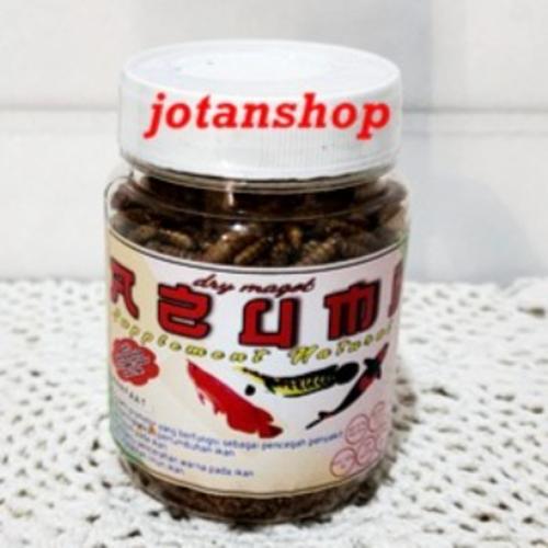 Jual AZUMI DRY MAGGOT MAGOT 40gr Ulat ulet Kering pakan predator ikan ...