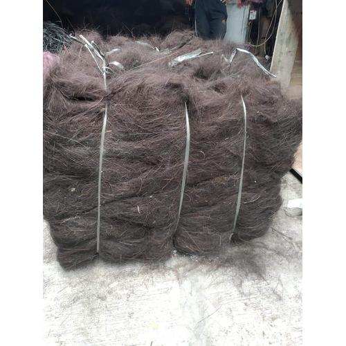 Promo Ijuk resapan 500gram kering ijuk hitam saringan air media tanam ...