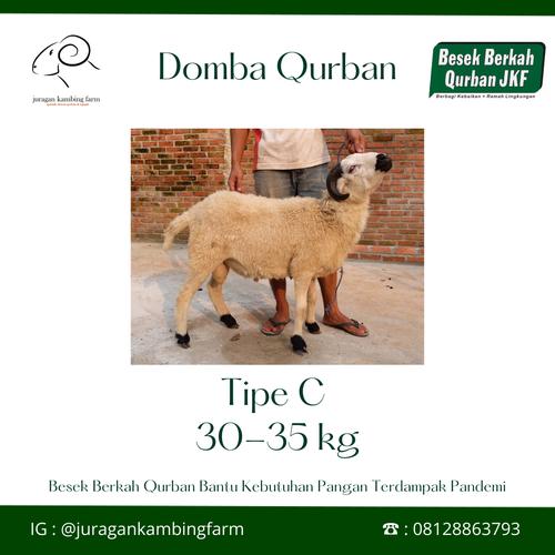 Jual Domba Qurban C 30-35 Kg - Jakarta Pusat - JKF | Tokopedia