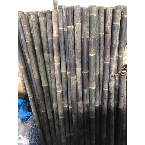 Jual Bambu Hitam Gelondong Panjang 2 Meter - Jakarta Barat - Rofah ...