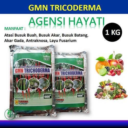 Jual Pupuk Hayati Trichoderma Untuk Layu Fusarium, Obat Busuk Buah ...