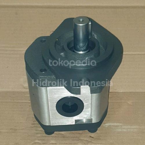Jual GEAR PUMP 25cc SHAFT SPI 20mm PUTARAN KIRI - Jakarta Barat ...