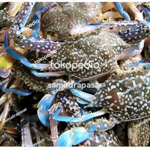 Jual kepiting rajungan laut segar - Jakarta Barat - samudrapasar ...