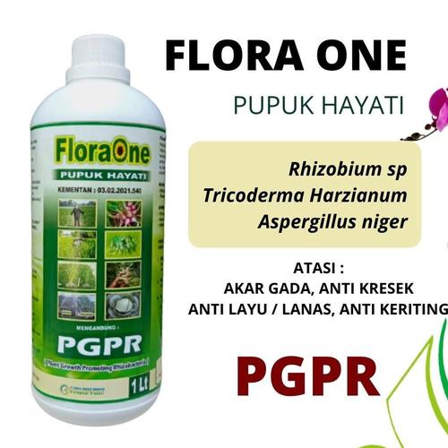 Jual FLORA One Pupuk PGPR, Pupuk Hayati Cair Rhizobium sp / Pemacu - Jakarta Selatan - Toko kak ...