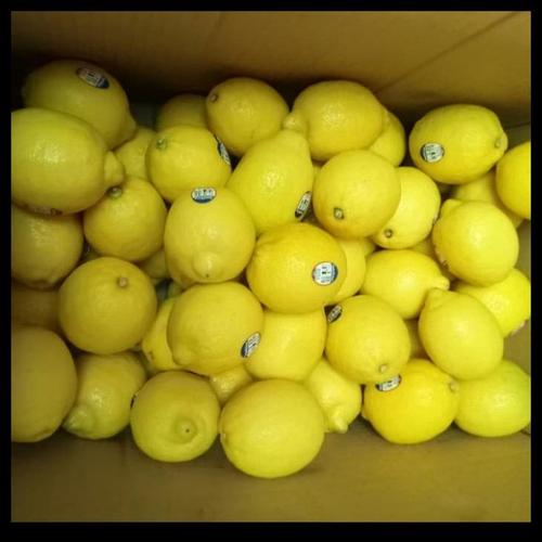 Jual Buah 🍋 Lemon Import California Original Best Seller - 4kg ...