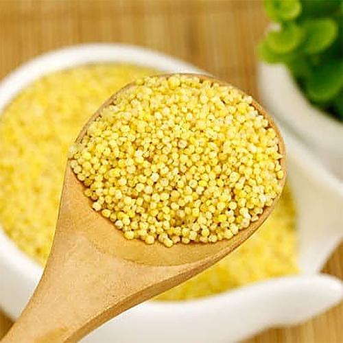 Promo Beras Jewawut Biji Kunyit Millet Sekoi Asli Sulawesi - Kota ...