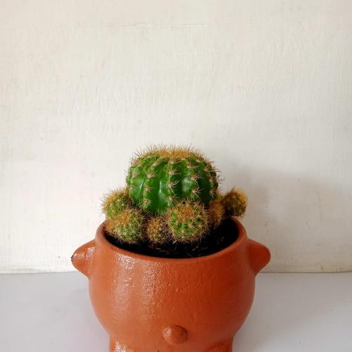 Jual POT GERABAH KUCING DUDUK D10 | TERAKOTA CLAYPOT| TANAH LIAT ...