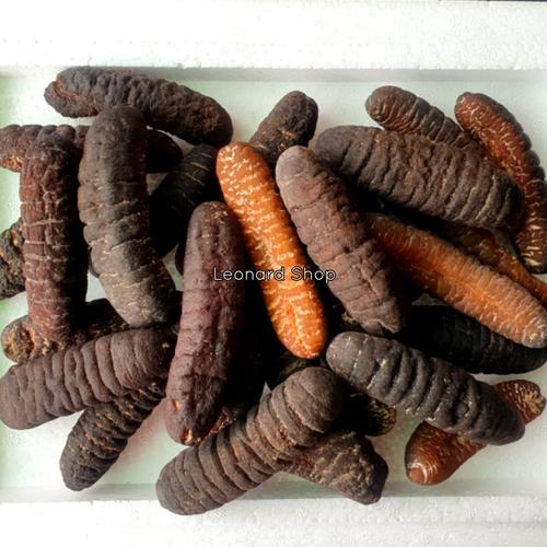 Jual HAISOM BESAR SUPER 100GRAM BANGKA BELITUNG KERING TERIPANG GOSOK ...