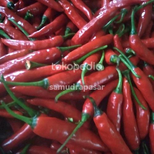 Jual cabe hijau besar - hijau besar - Jakarta Barat - samudrapasar ...