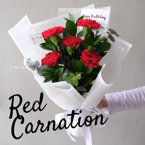 Jual Red Carnation Nationwide by Le Bliss Bouquet | Buket Bunga Segar ...