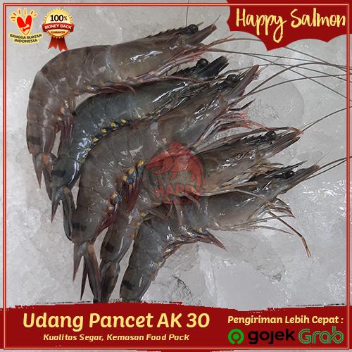Jual Udang Tiger Fresh 1kg 30-35 Ekor/Udang Pancet/Udang Windu Segar ...