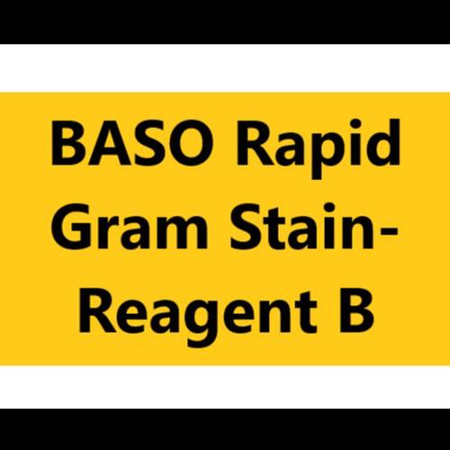 Jual BASO Rapid Gram Stain- Reagent B - Kota Pekanbaru - emwbmedical ...
