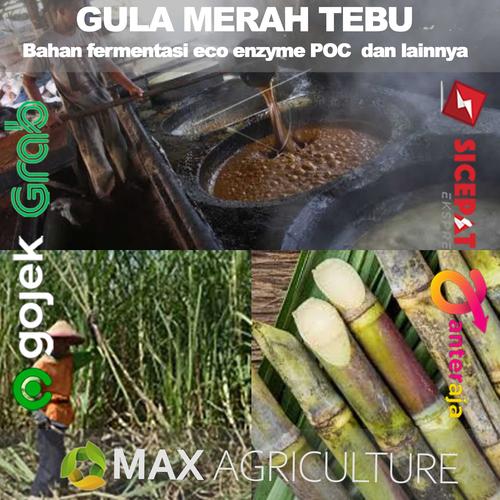 Jual GMT Gula Merah Tebu Asli Outheng Gula Awur for eco enzyme dan ...