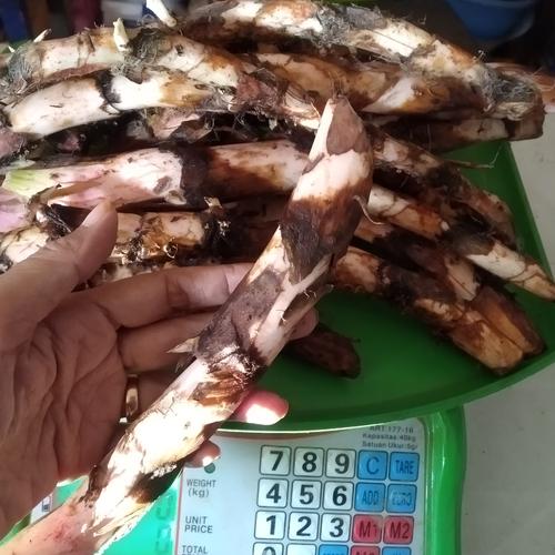 Jual Delengu/jangu segar 100gr - Kota Denpasar - AA EMPON | Tokopedia