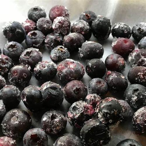 Jual Frozen Blueberry / Blueberries - REPACK 500 GRAM- - Kota Denpasar ...