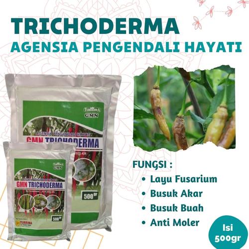 Jual Pupuk Hayati Trichoderma Cegah Layu Fusarium, Obat Busuk Buah Dan Akar - Jakarta Pusat ...