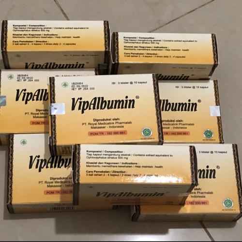 Jual VIPALBUMIN KAPSUL - 1 BOX - Jakarta Utara - Phantom Farma | Tokopedia