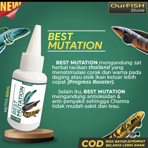 Jual OBAT VITAMIN MUTASI WARNA IKAN CHANNA LIMBATA MARU DLL BEST ...