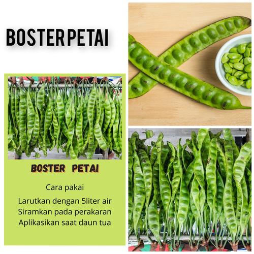 Jual pupuk pohon petai pete pupuk tanaman boster sayurn boster buah ...