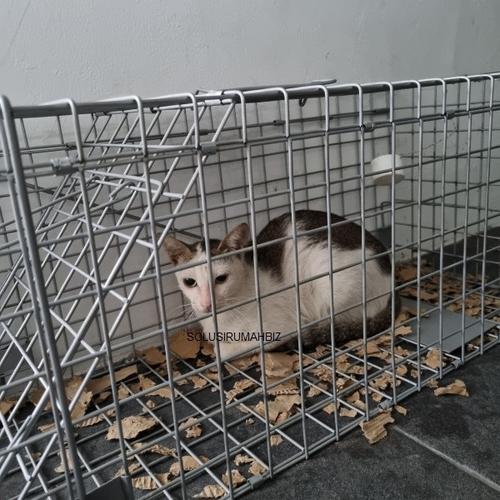 Jual kurungan besar lipat jebakan Kucing luwak Musang 76x28x30cm hewan ...