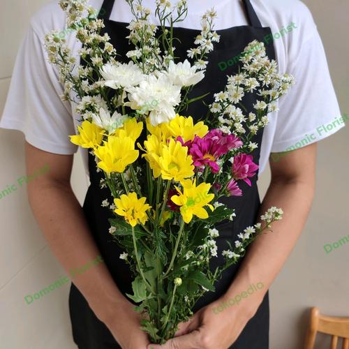 Jual Aster Krisant 3 warna bunga segar sembahyang kembang cantik ruang ...