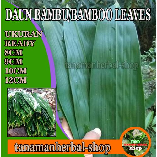 Jual [ promo ] Daun Bambu Besar Khusus Bakcang kualitas 1 - Jakarta ...