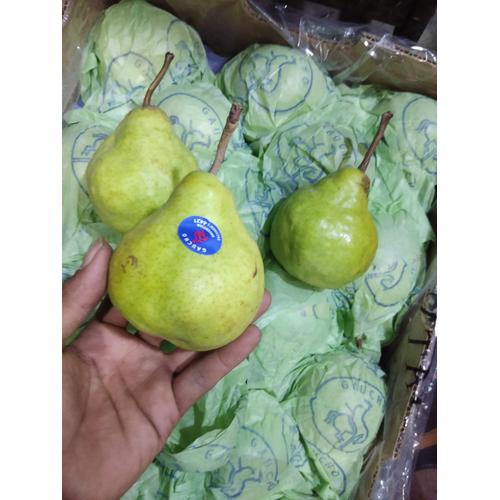 Jual BUAH PEAR PACKHAM / PIR HIJAU / PIR JAMBU FRESH - Jakarta Barat ...