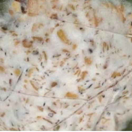 Jual Tempe mlanding wonogiri - Kab. Wonogiri - Grosir Omah Padi | Tokopedia