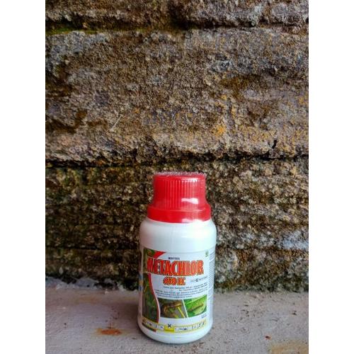 Jual Insektisida METACHLOR 65 EC Pembasmi Hama Ulat Wereng dan Kungkang ...