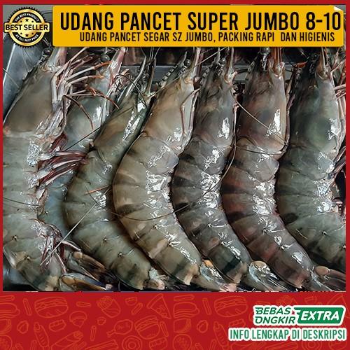 Jual Udang Windu Segar 1kg 8-10 Ekor/Udang Pancet/Udang Tiger Fresh ...