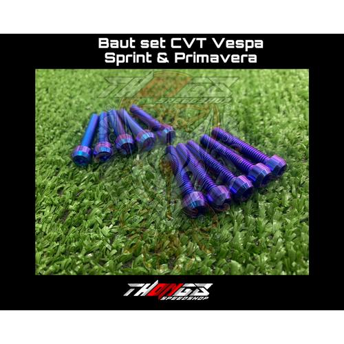Jual BAUT TITANIUM SET CVT VESPA MATIC PRIMAVERA SPRINT SPRINT S - Ungu ...