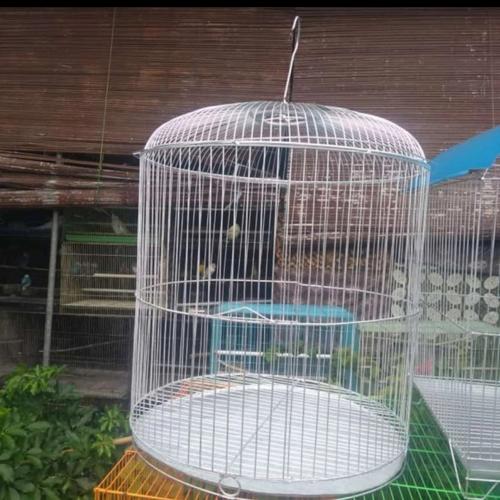 Jual sangkar bulat besi beo/pelatuk/falk - Jakarta Timur - Nissa ...