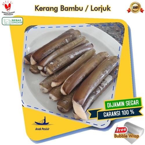 Jual Kerang Bambu Lorjuk Segar / Kerang Bambu Fresh 1kg / Kerang Segar ...
