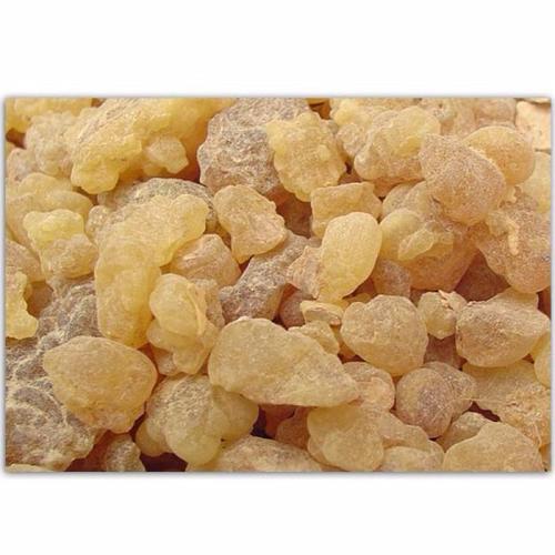 Jual Luban Kemenyan Getah Arab Gum Arab Frankincense Bukhu Pengharum ...